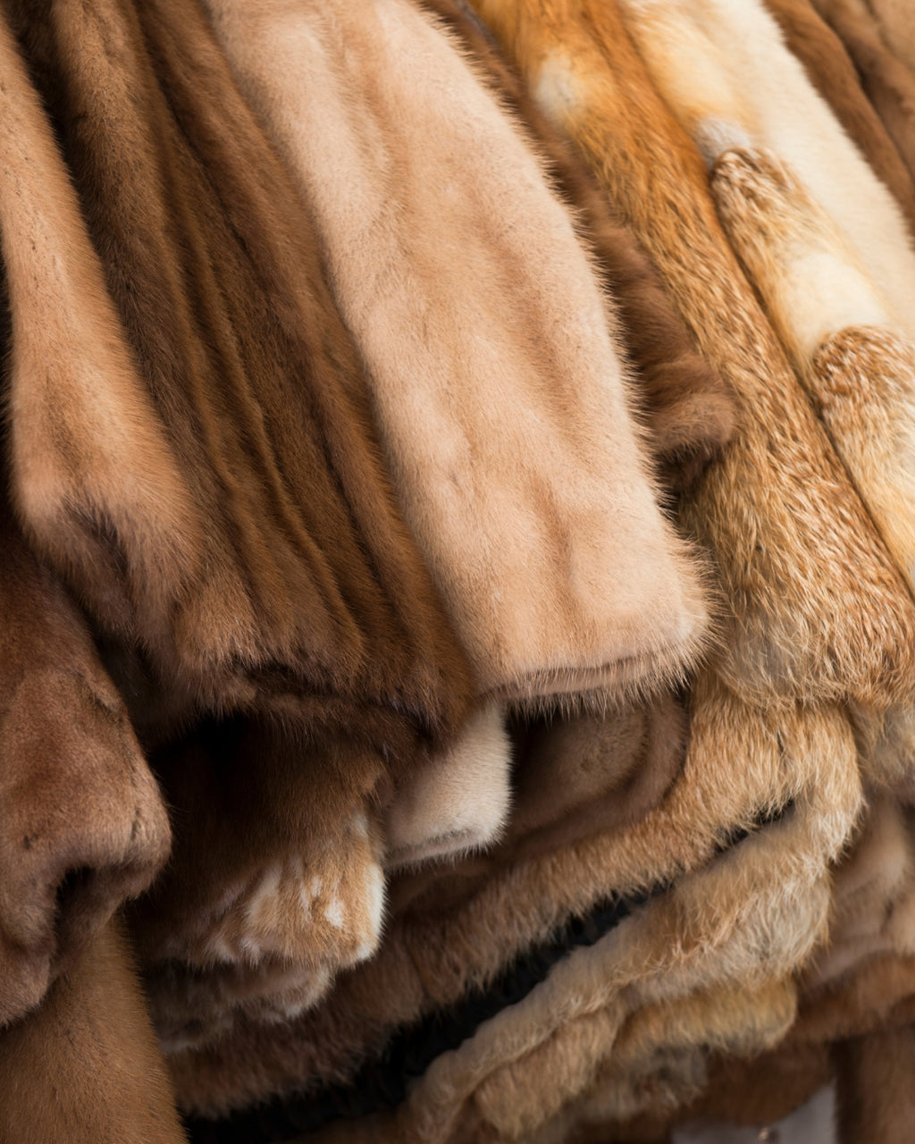 News & Events – ElMar's Furs